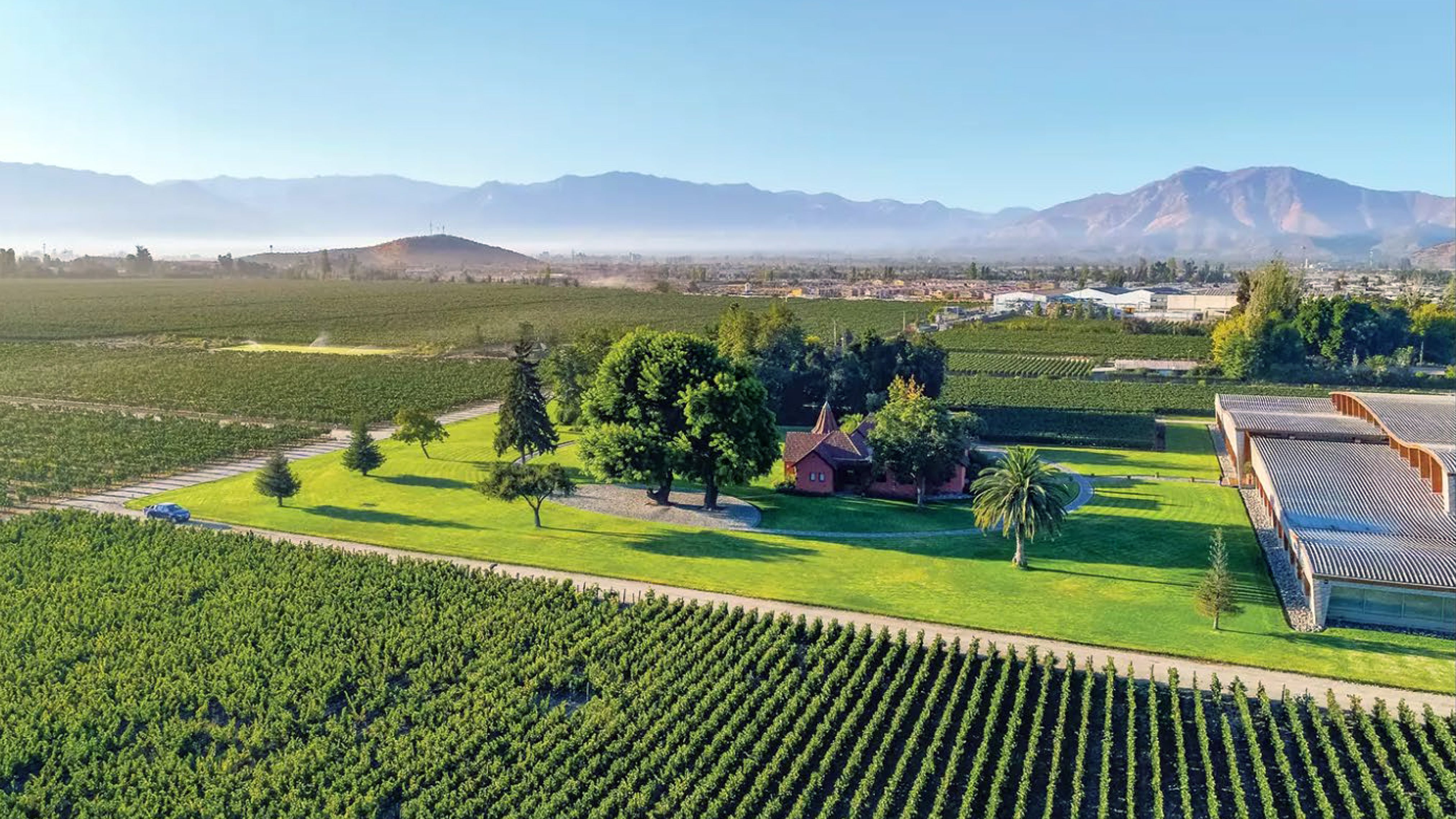 Maipo Valley Almaviva 2016 – Bestil i dag - Løgismose