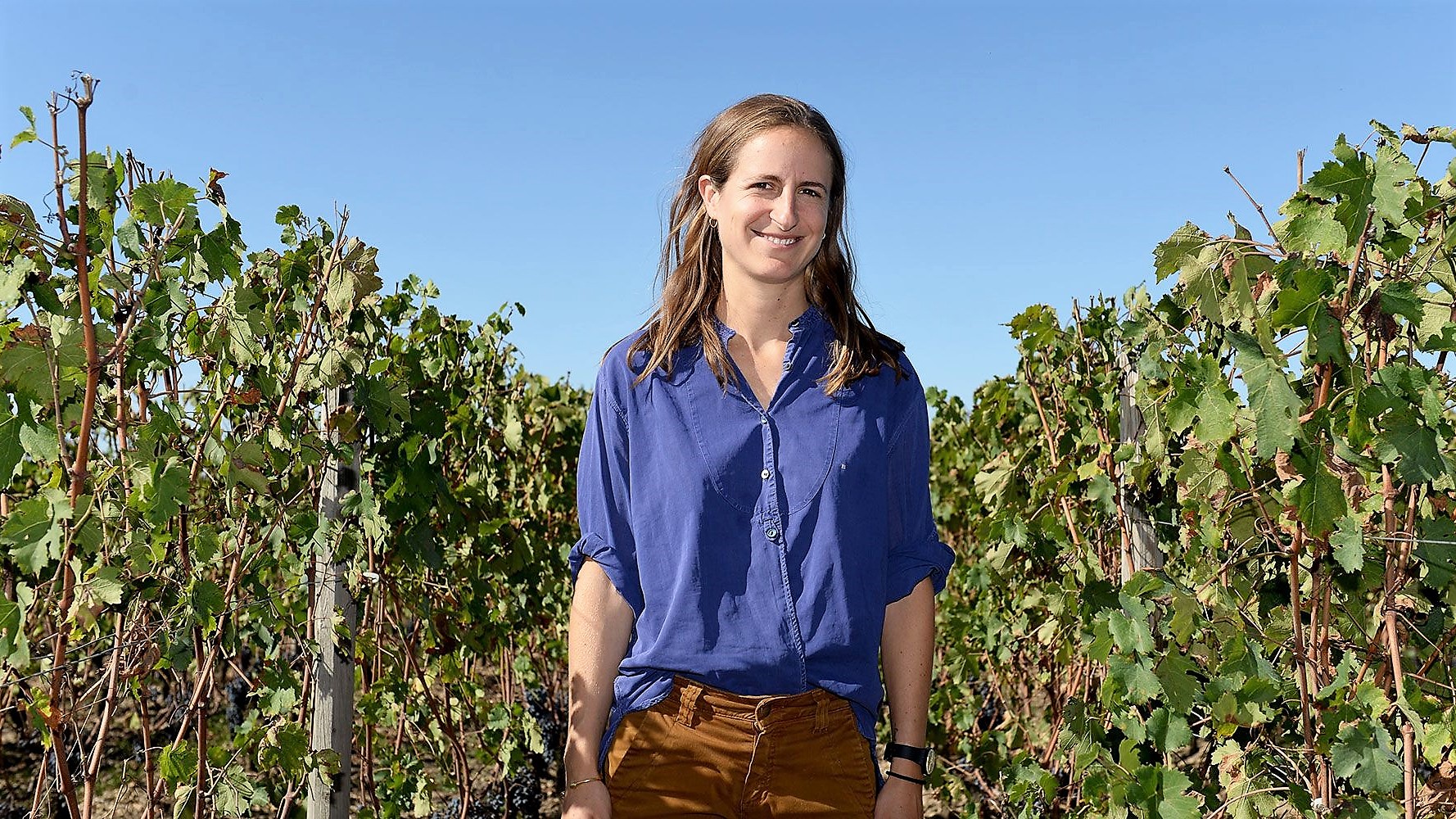 Château Lafite-Rothschild DB Magnum 3L 2010 – Bestil i dag - Løgismose